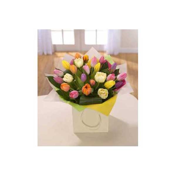 Rainbow Tulips: A Stunning Hand-Tied Of Mixed Tulips