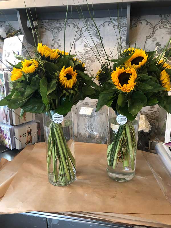 Simply Sunflowers: Arrangement of Long Stemmed Dutch Sunflowers